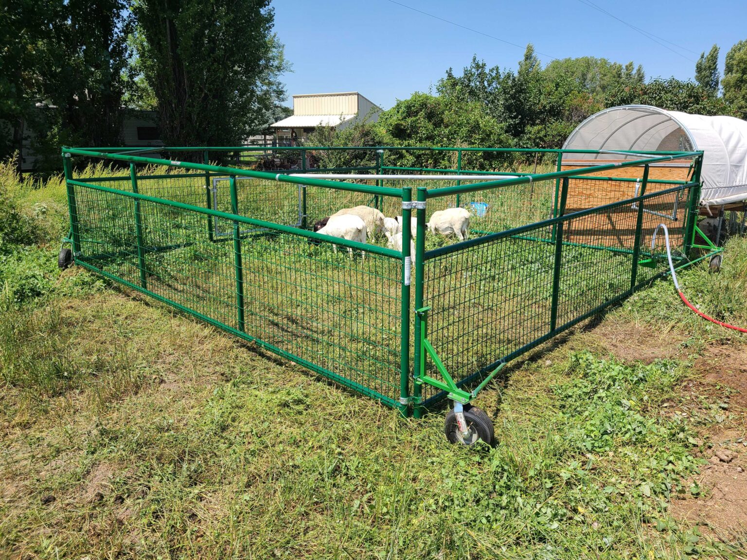 Sheep Tractor Kits - Mobile Lamb Pens - Ecko Farms