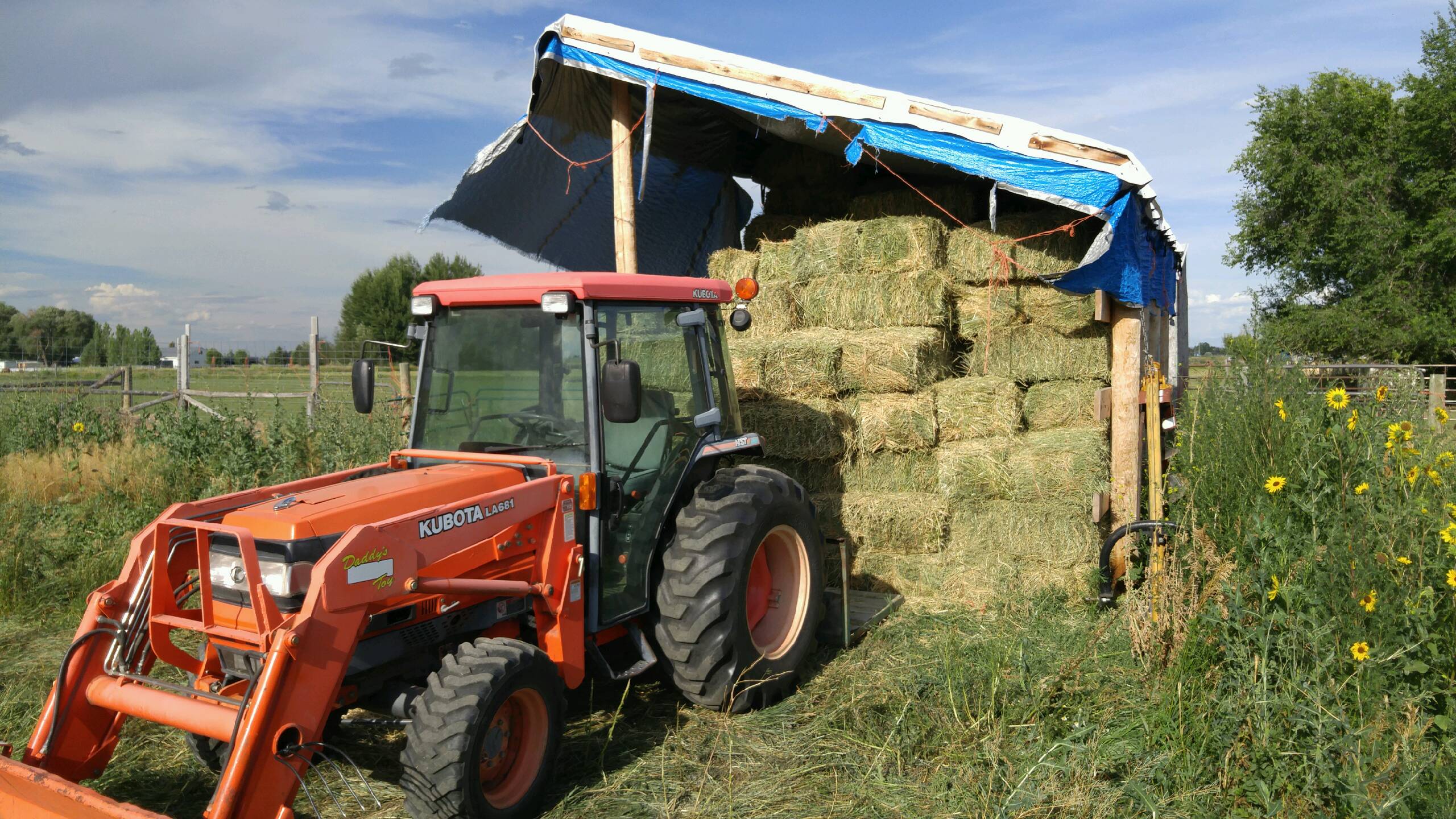 About Us - Ecko Farms