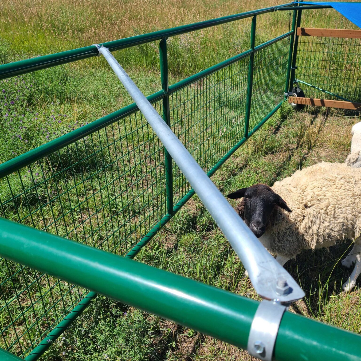 Sheep Tractor Kits - Mobile Lamb Pens - Ecko Farms